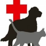LAS CRUCES VETERINARY CLINICS – Animal Services Center of the Mesilla ...